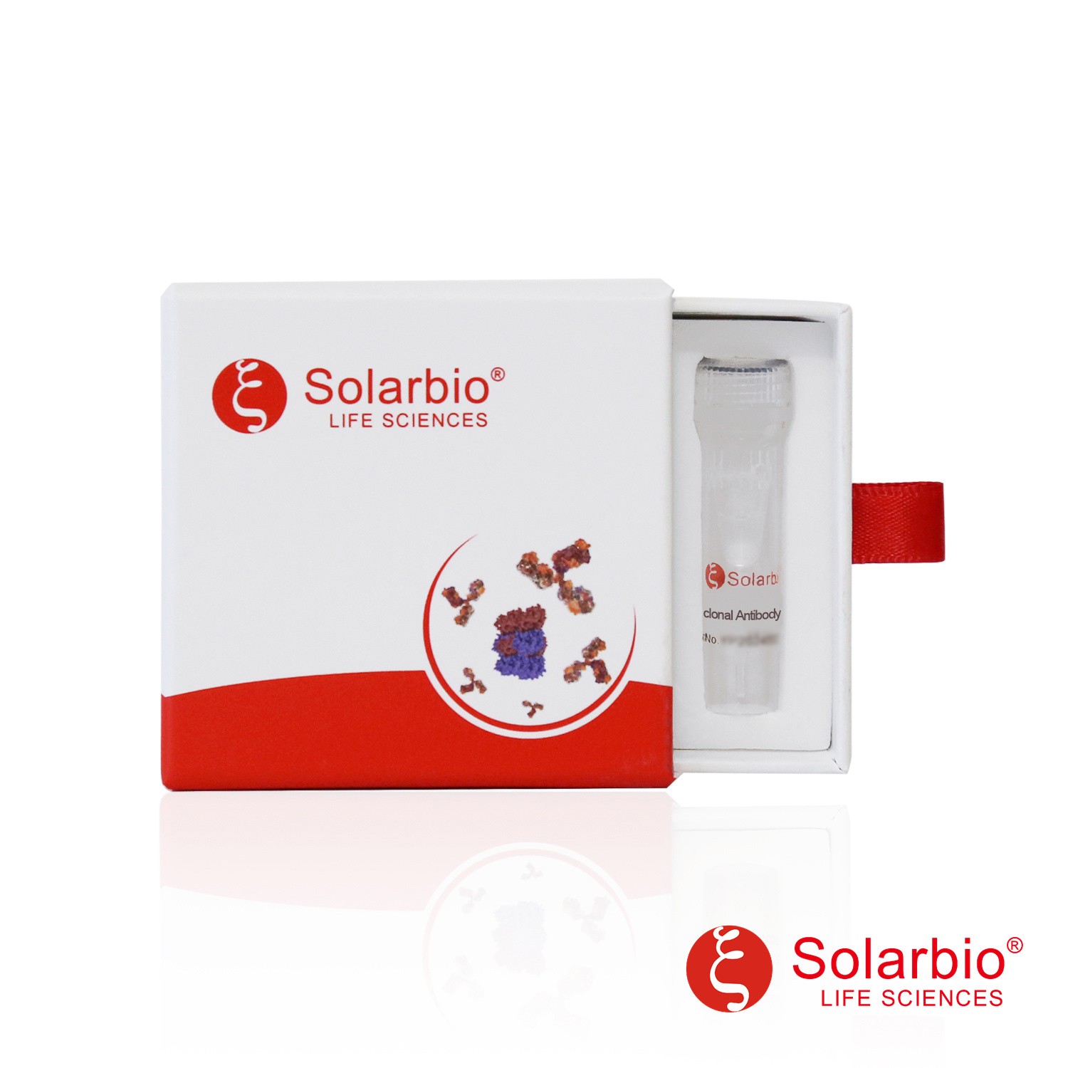 Anti-Lambda Monoclonal Antibody