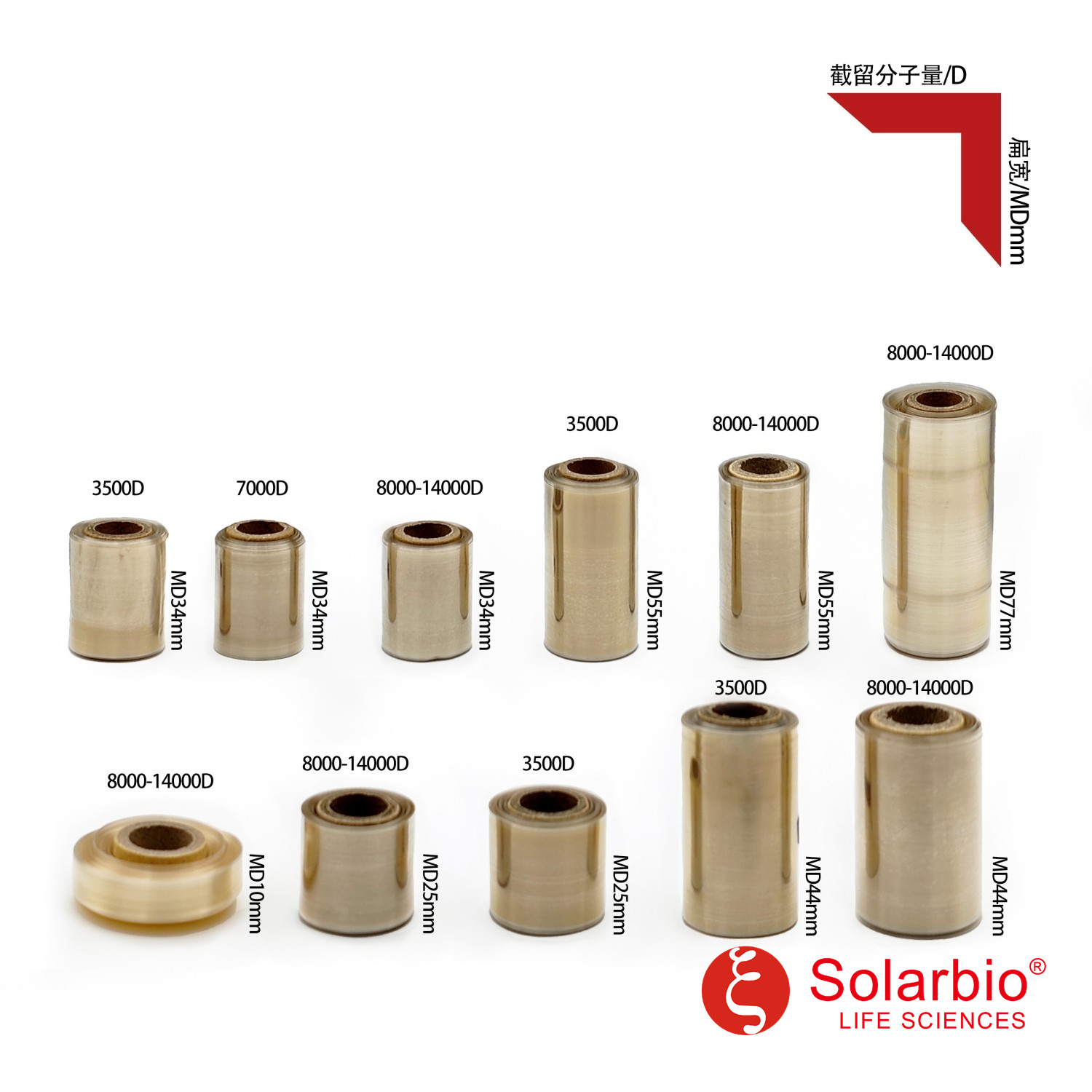 Solarbio-One-stop Solution Provider For Life-Science