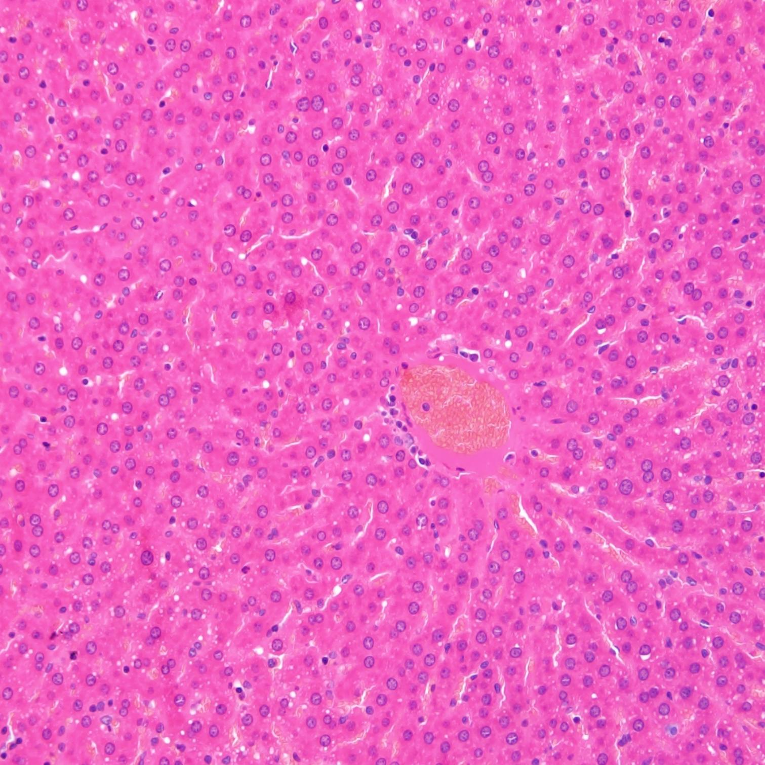 Solarbio-One-stop Solution Provider For Life-Science